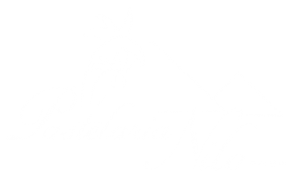 Pastelaria Nilo
